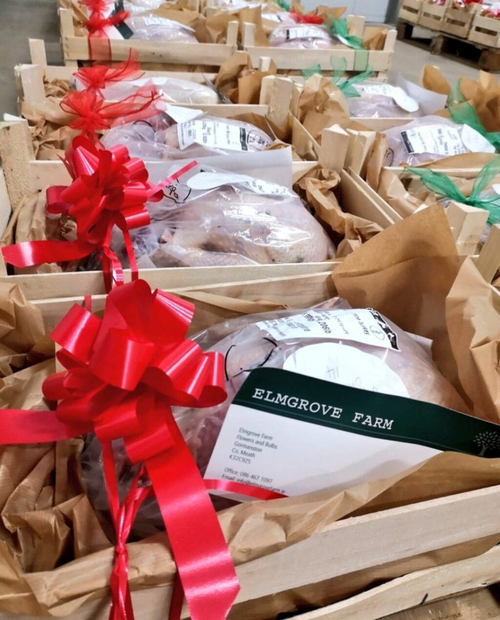 Irish Christmas Trees | Elmgrove Irish Flower Farm